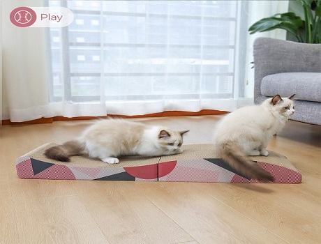 How to Train Your Cat to Use a Cat Scratcher? - Coolypet